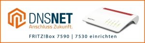 DNS:Net FRITZ!Box 7590 | 7530 einrichten – revilodesign.de